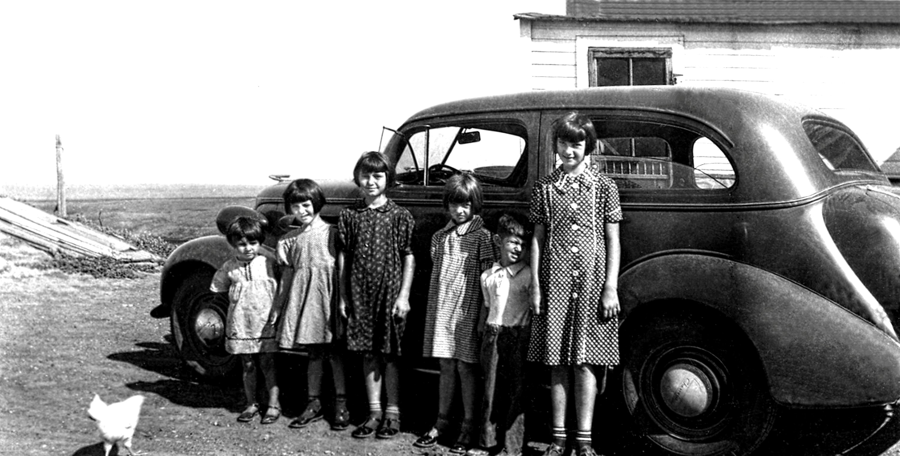 Emilia Sophia Larson